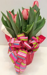 Krupp Florist :: Your online flower shop Belleville, IL